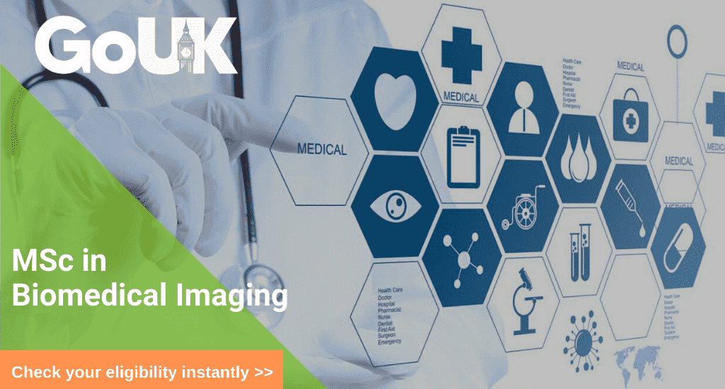 Masters in Biomedical Imaging in UK | MSc in Biomedical Imaging in UK ...