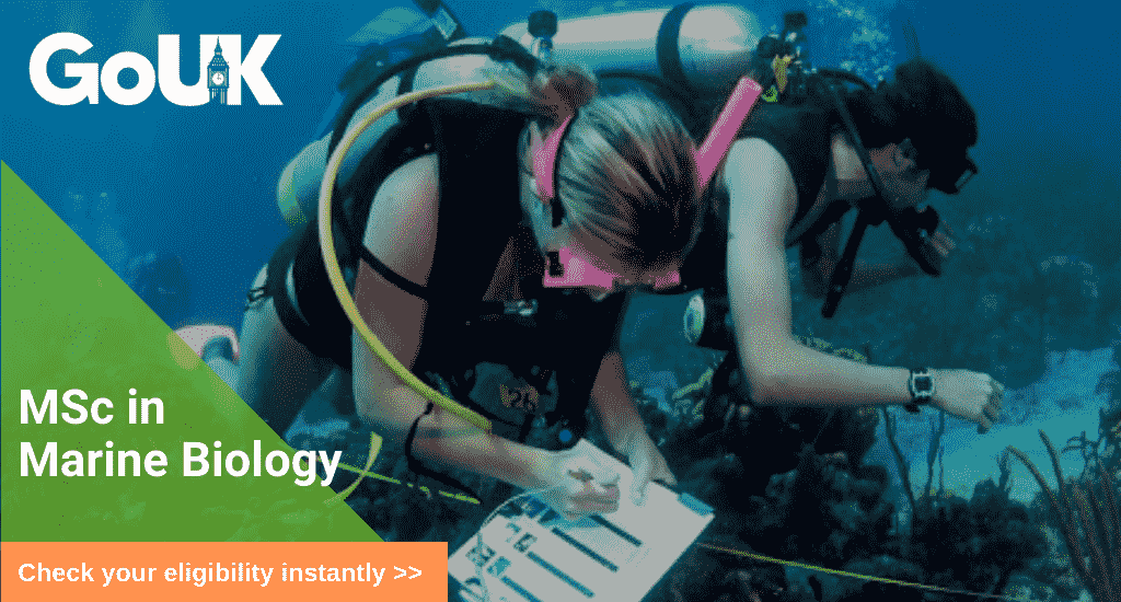 Masters in Marine Biology in UK | MSc in Marine Biology in UK | Study Marine Biology in London ...